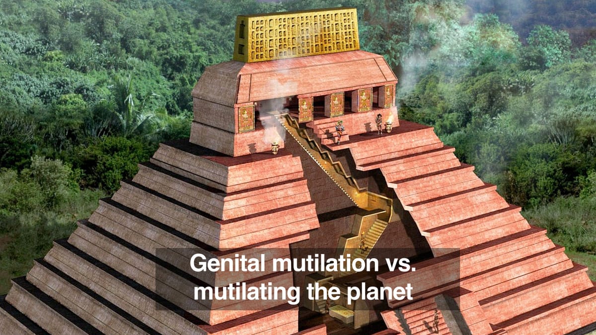 What The Blood Sacrifice Of The Maya Can Teach Us About Today — indi.ca