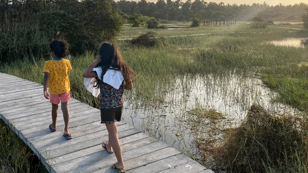 Children and 'Enlightenment' and Enlightenment — indi.ca